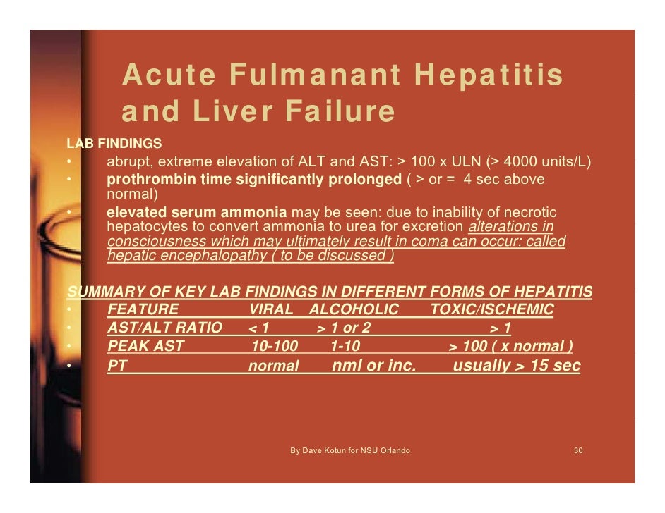 P A O 5600 Lecture 5 Liver Fx Tests 1hr Dave