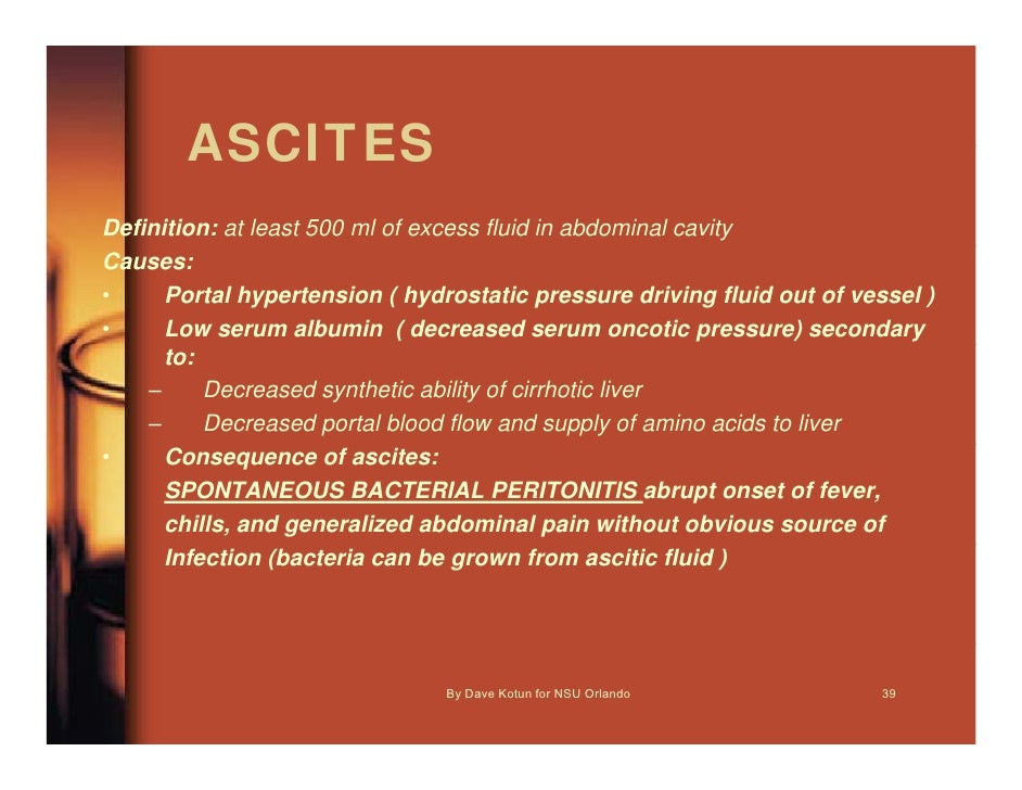P A O 5600 Lecture 5 Liver Fx Tests 1hr Dave