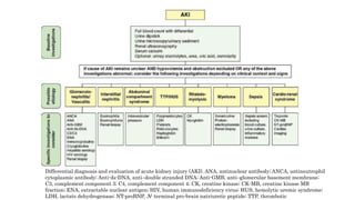 Pap renalnestesia | PPTX | Endocrine and Metabolic Diseases | Diseases ...