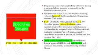 Pap renalnestesia | PPTX | Endocrine and Metabolic Diseases | Diseases ...