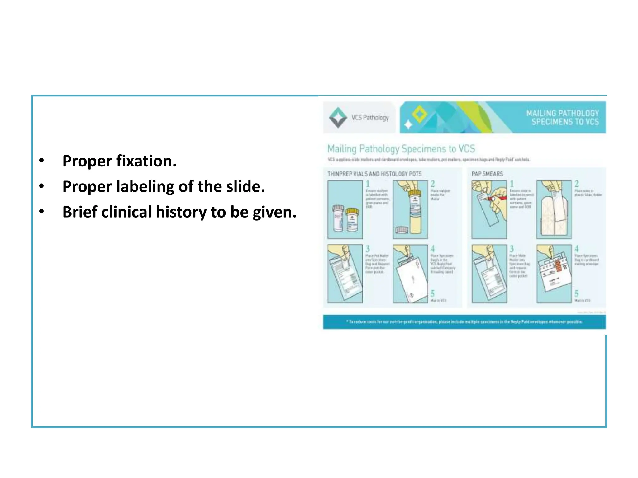 pap-smear-interpretation.pptx