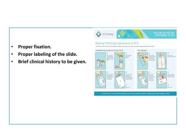 pap-smear-interpretation.pptx | Cancer | Diseases and Conditions