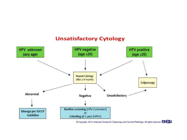 pap-smear-interpretation.pptx | Cancer | Diseases and Conditions