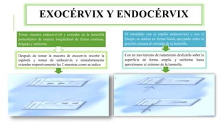 Pap 1era parte | PPT