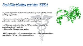 Penicillin Binding Protein