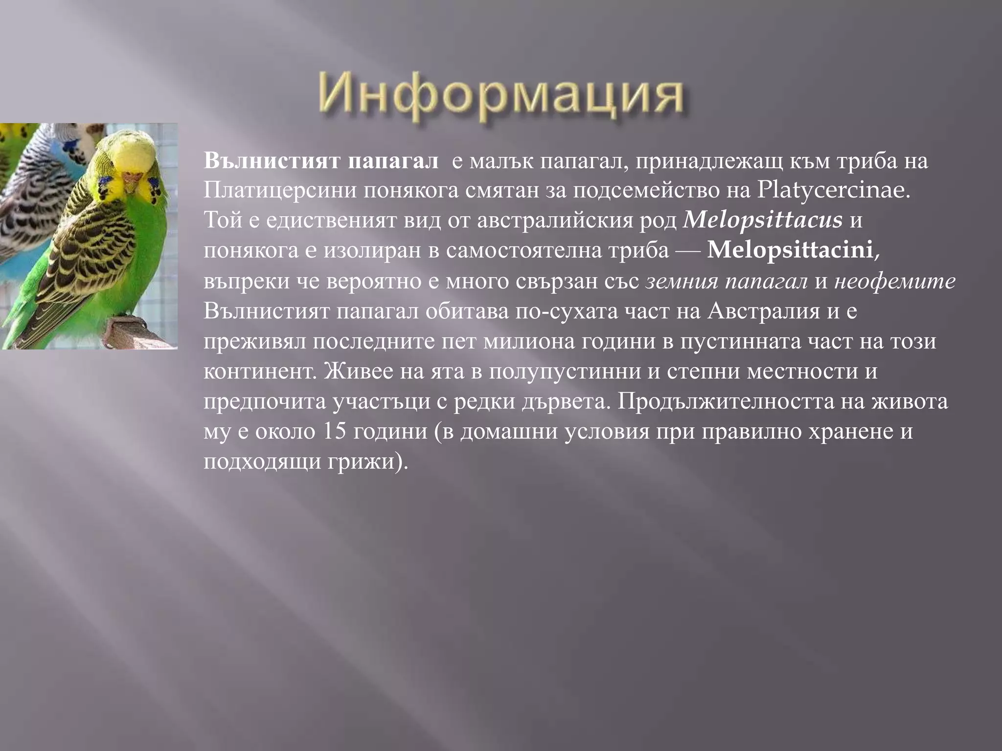 Papagalite ot martin-chakarov | PPTX
