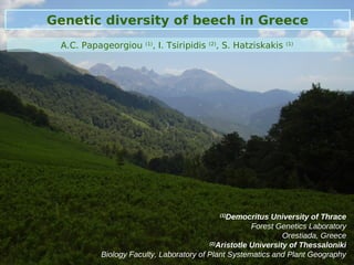 Genetic diversity of beech in Greece | PPT