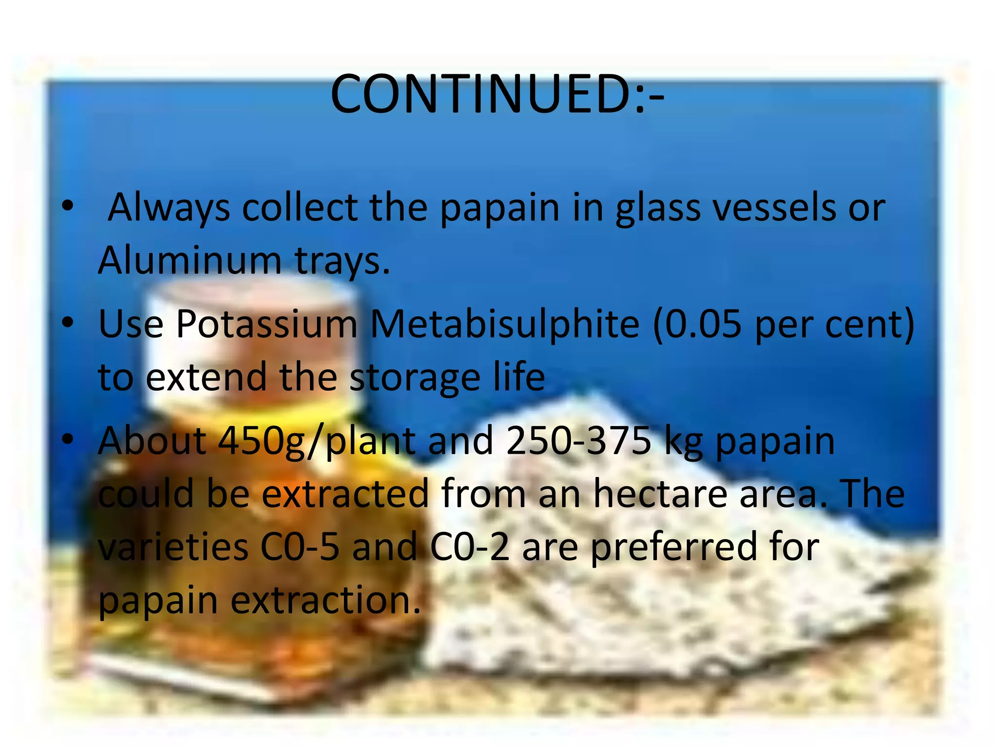 papaya papain ..... Enzyme | PPTX