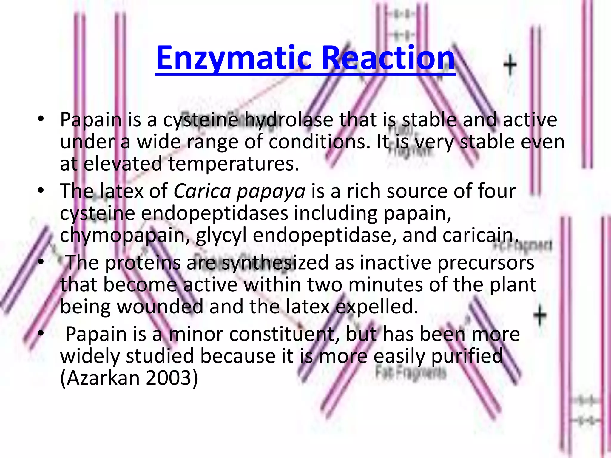 papaya papain ..... Enzyme | PPTX