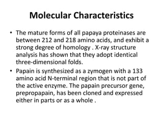 papaya papain ..... Enzyme | PPTX