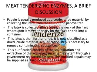 papaya papain ..... Enzyme | PPTX