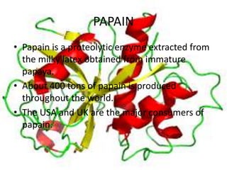 papaya papain ..... Enzyme | PPTX