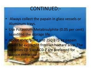 papaya papain ..... Enzyme | PPTX