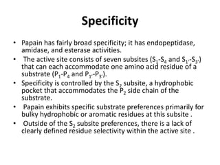 papaya papain ..... Enzyme | PPTX