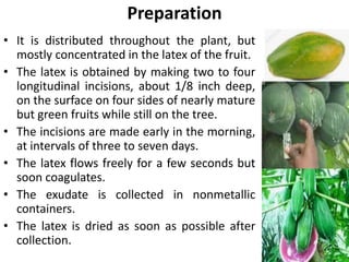 PAPAIN - An digestive enzymes | PPTX