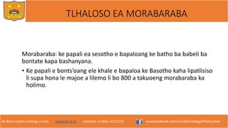 Papali tsa basotho [morabaraba]3 | PPTX