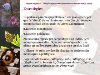 Papallones i plantes | PPT