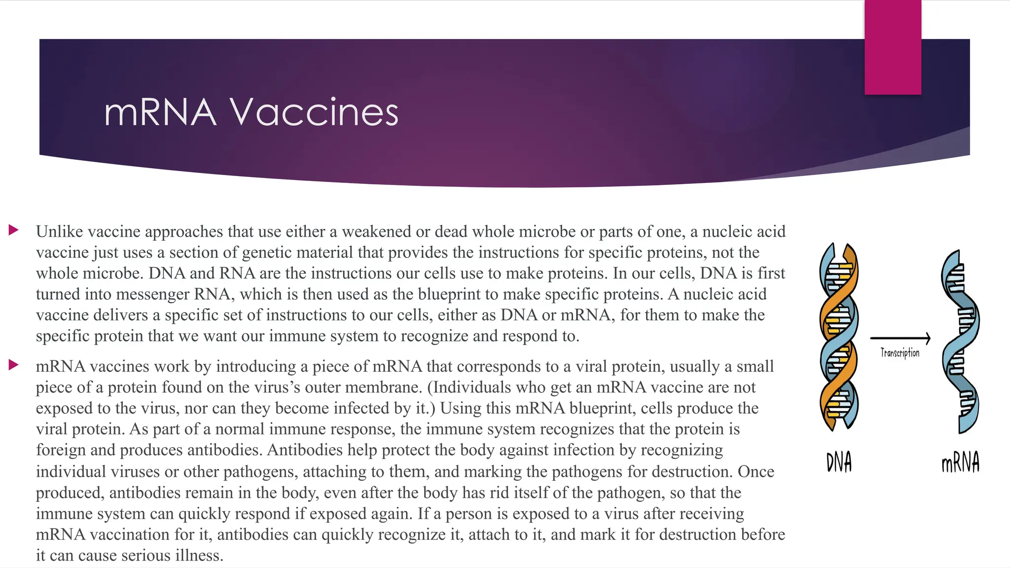 All about DNA RNA Virus and Vaccines.pptx | Genetics | Science