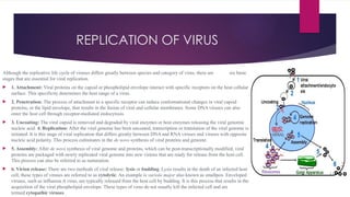 All about DNA RNA Virus and Vaccines.pptx