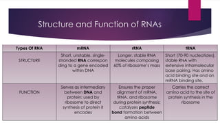 All about DNA RNA Virus and Vaccines.pptx