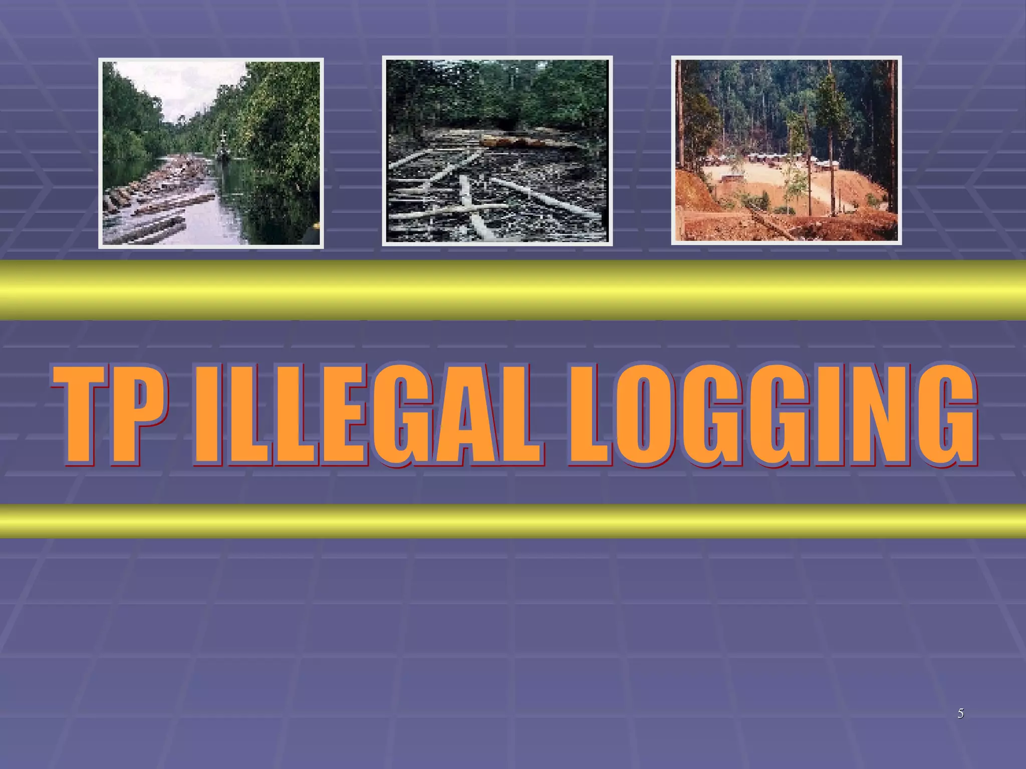 Paparan Polda Tentang Illegal Logging | PPT