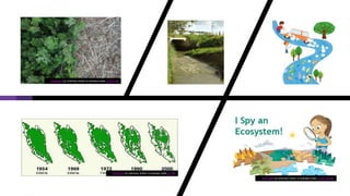 PAPARAN GEO BAB 9.pptx