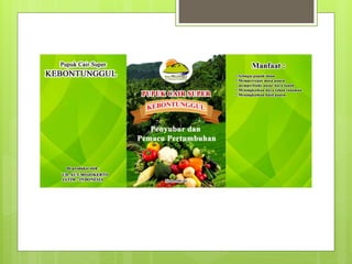 Paparan Kades Kebontunggul - PWK ITS.pptx