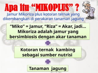 Paparan Mikoriza Budiono Probolinggo.pptx