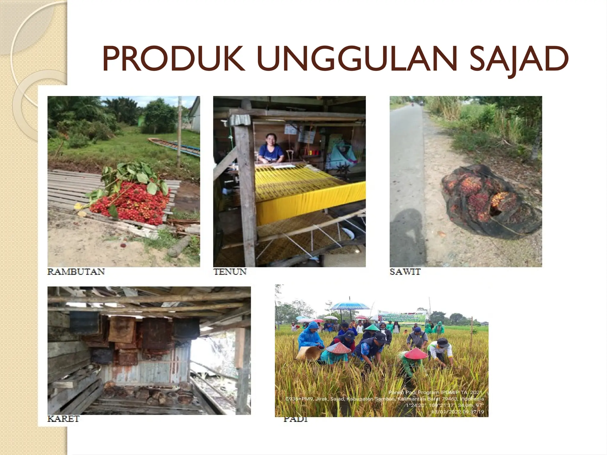 BAHAN POWER POINT PAPARAN UMUM USULAN MUSRENBANG KECAMATAN OLEH CAMAT ...