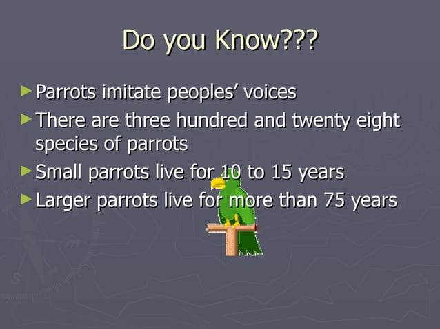 Papa's Parrot | PPT