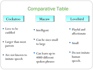 Papa’s Parrot Summary | PPT