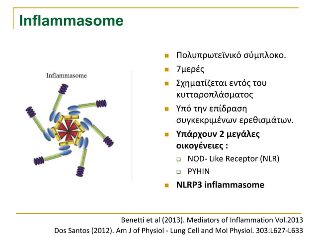Papatheodorou K 10o atherosclerosis.ppt