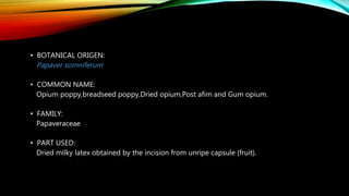 Papaveraceae | PPTX