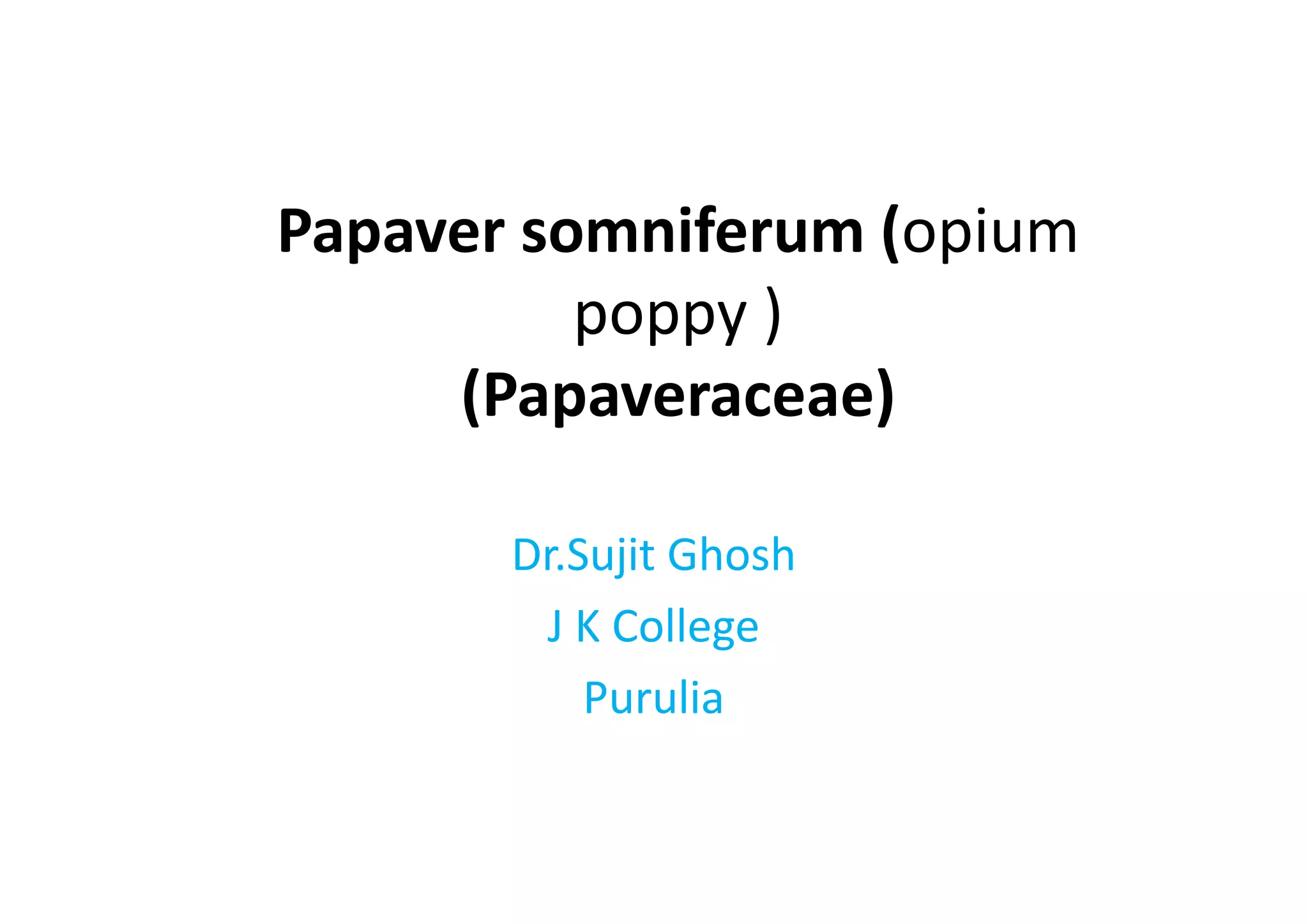 Papaver somniferum (opium poppy ) | PDF