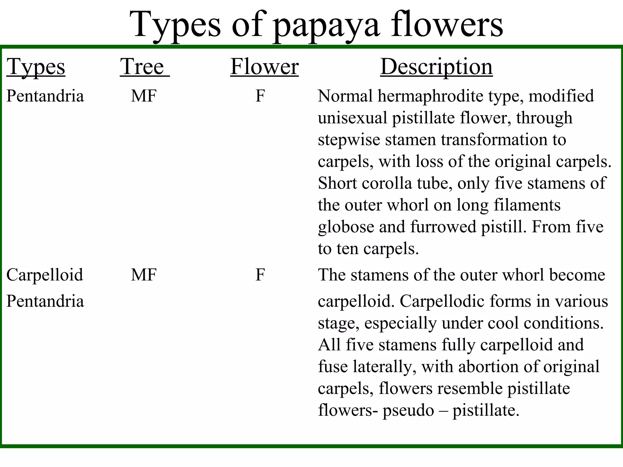 Papaya production technilogy | PPT
