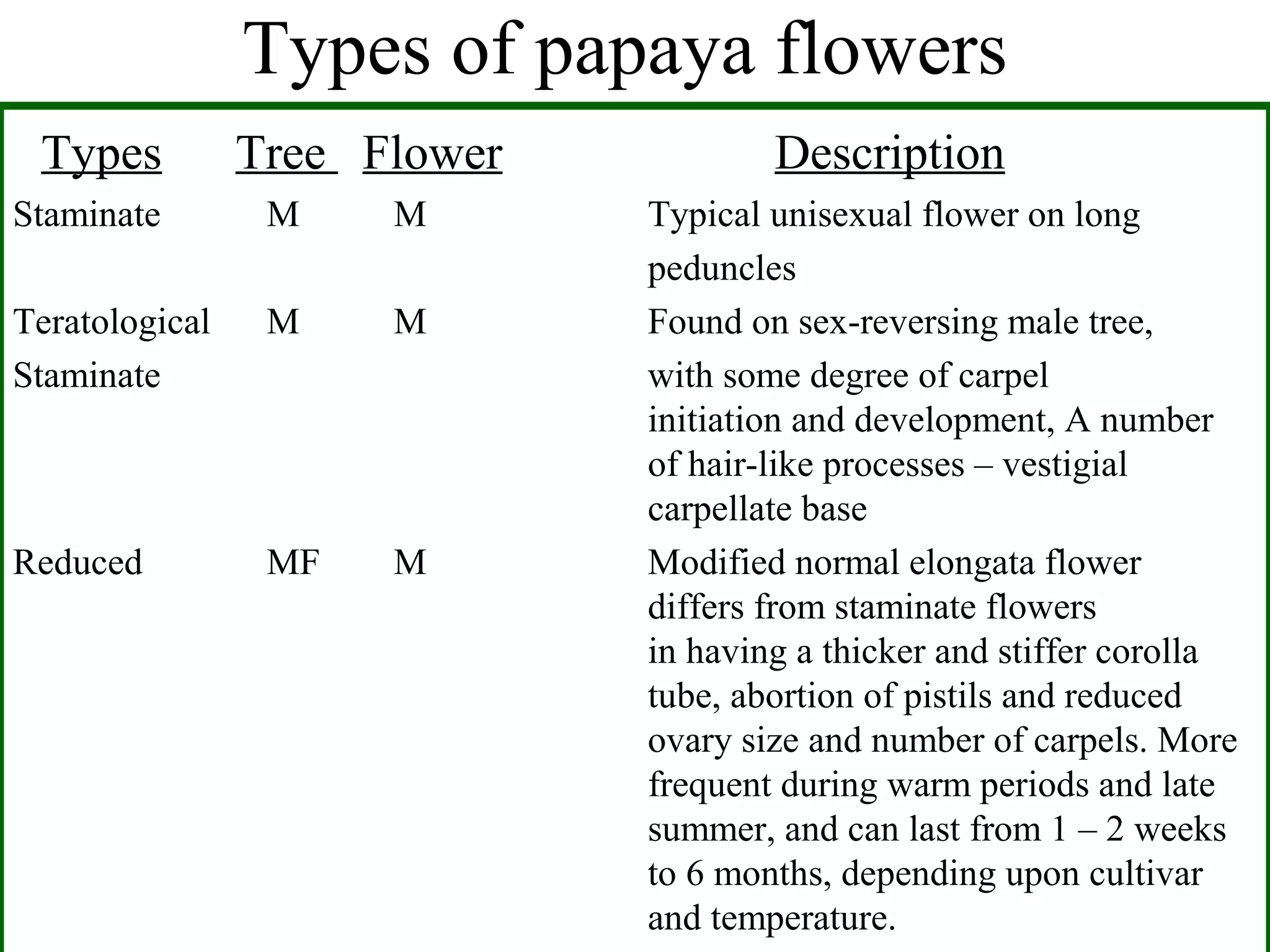 Papaya production technilogy | PPT