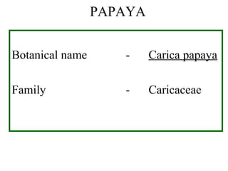 Papaya production technilogy | PPT