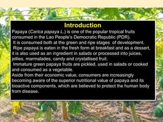 PISEAVATION OF PAPAYA ( RANJEET MAURYA ) | PPTX