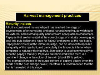 PISEAVATION OF PAPAYA ( RANJEET MAURYA ) | PPTX