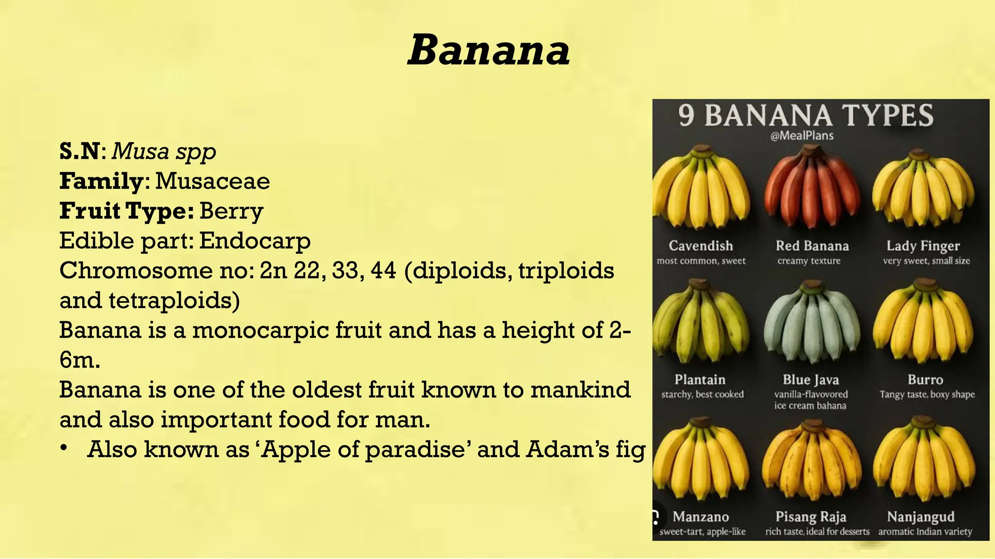 papaya & banana varieties released 166&168.pptx