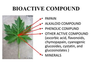 Papaya leaves | PPTX