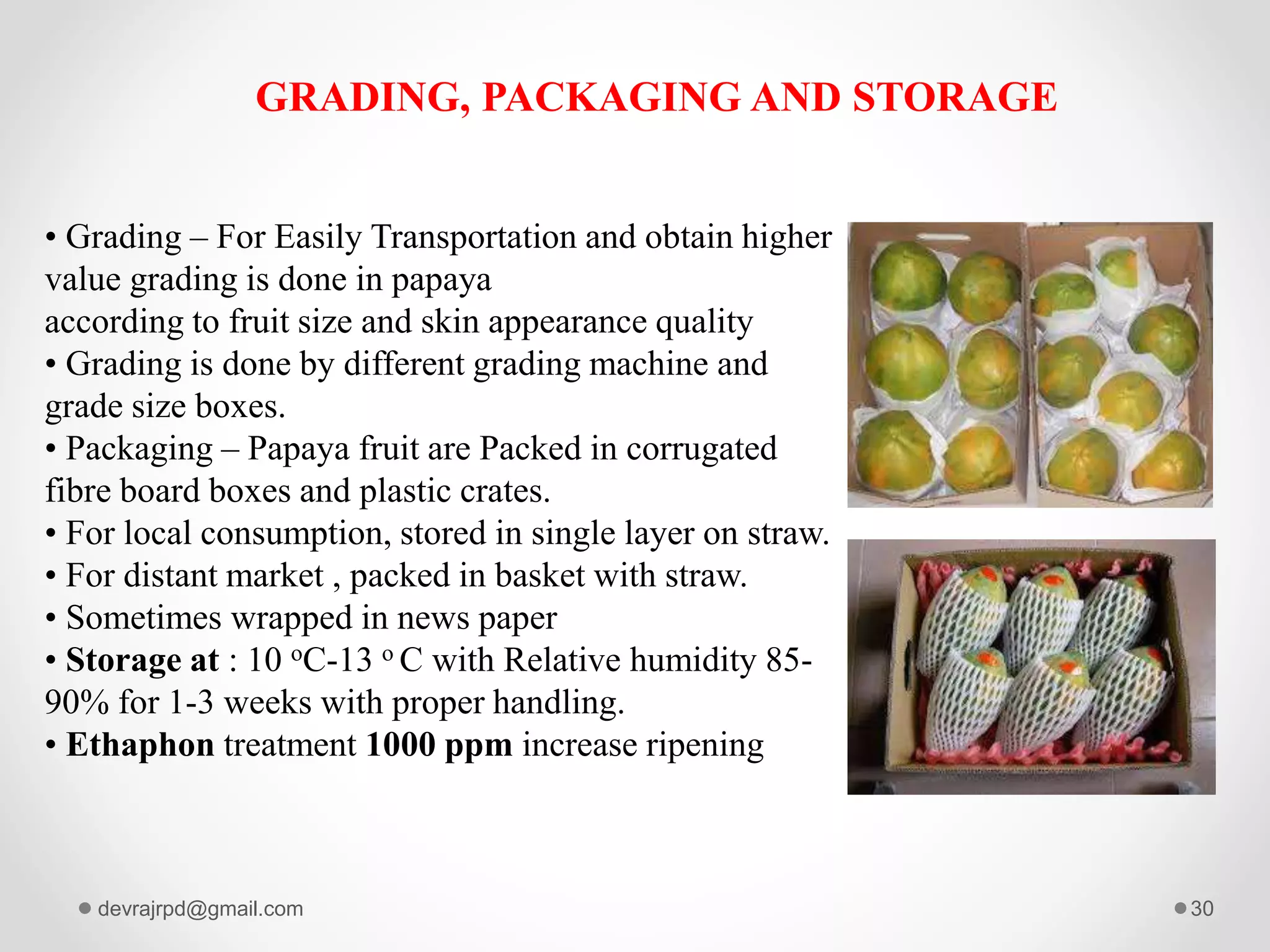 Papaya lecture | PPTX