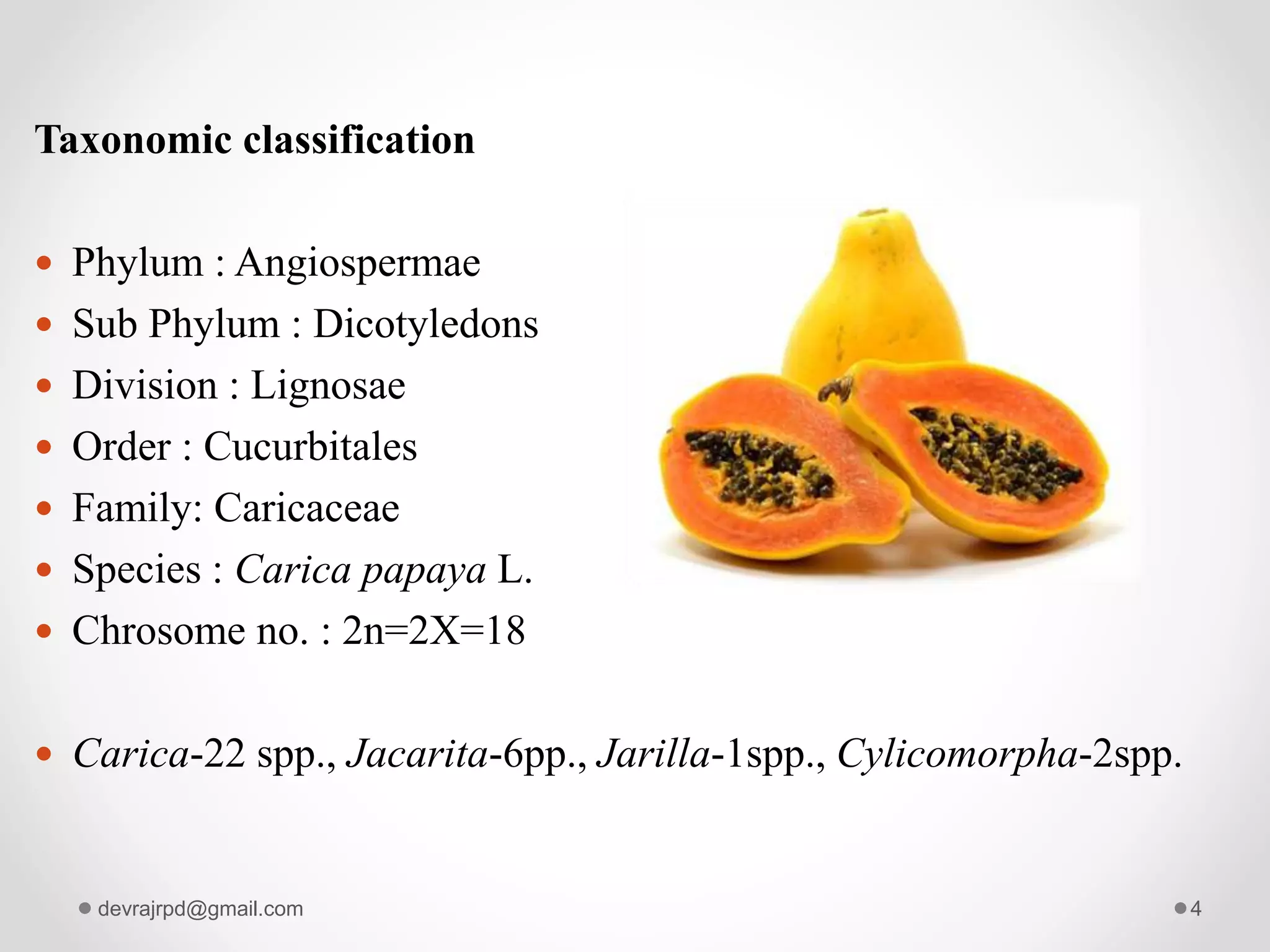 Papaya lecture | PPTX