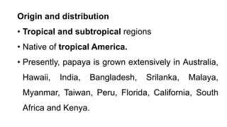 PAPAYA ppt.pptx