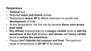 PAPAYA ppt.pptx