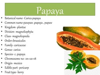 Papaya ppt priya priyadarshini | PPTX