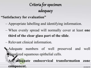 Pap Smear: A Bird's Eye View from a Cytopathologist | PPT