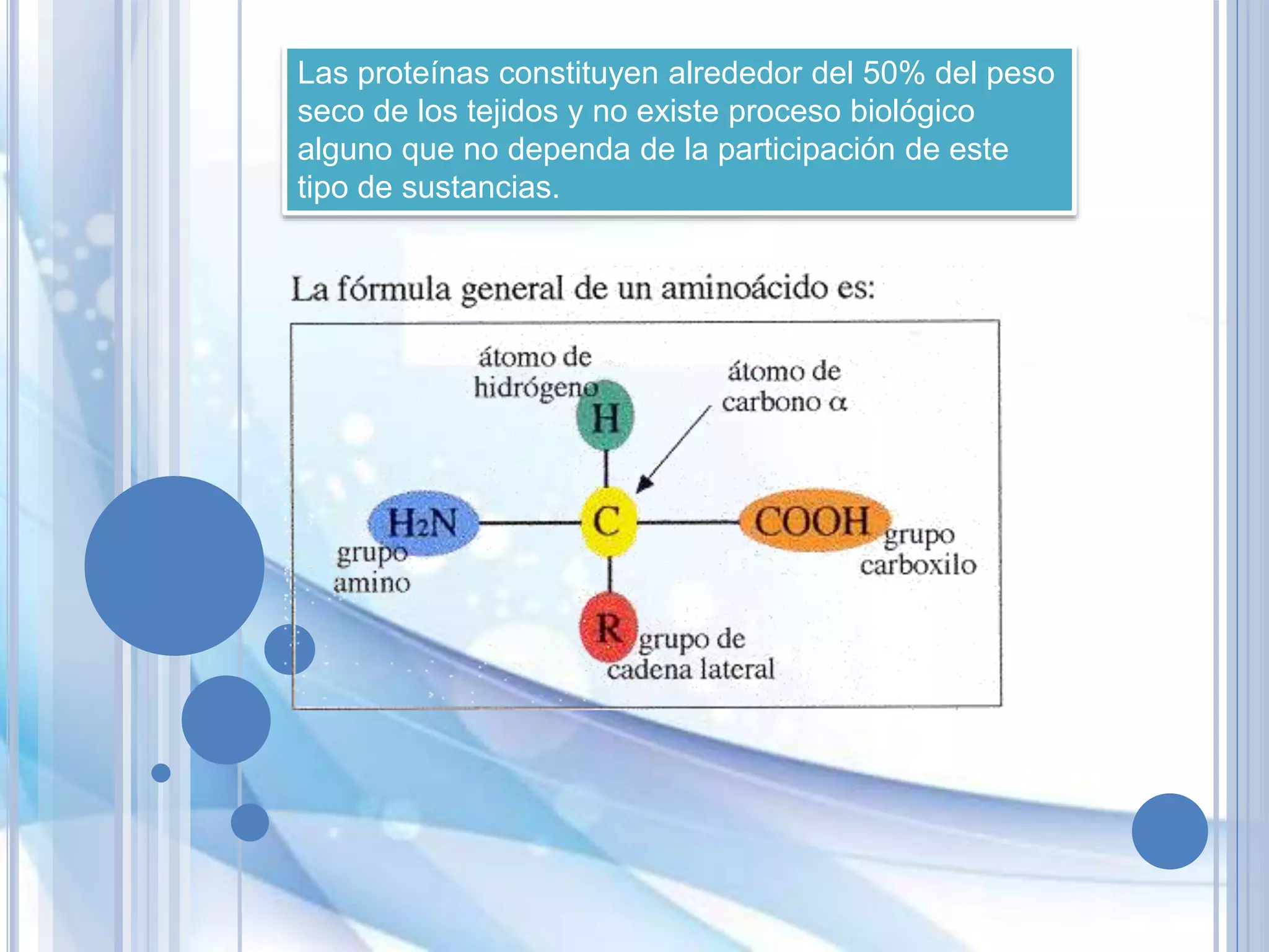 Papel De Las Proteinas En La Nutricion Ppt Descarga Gratuita