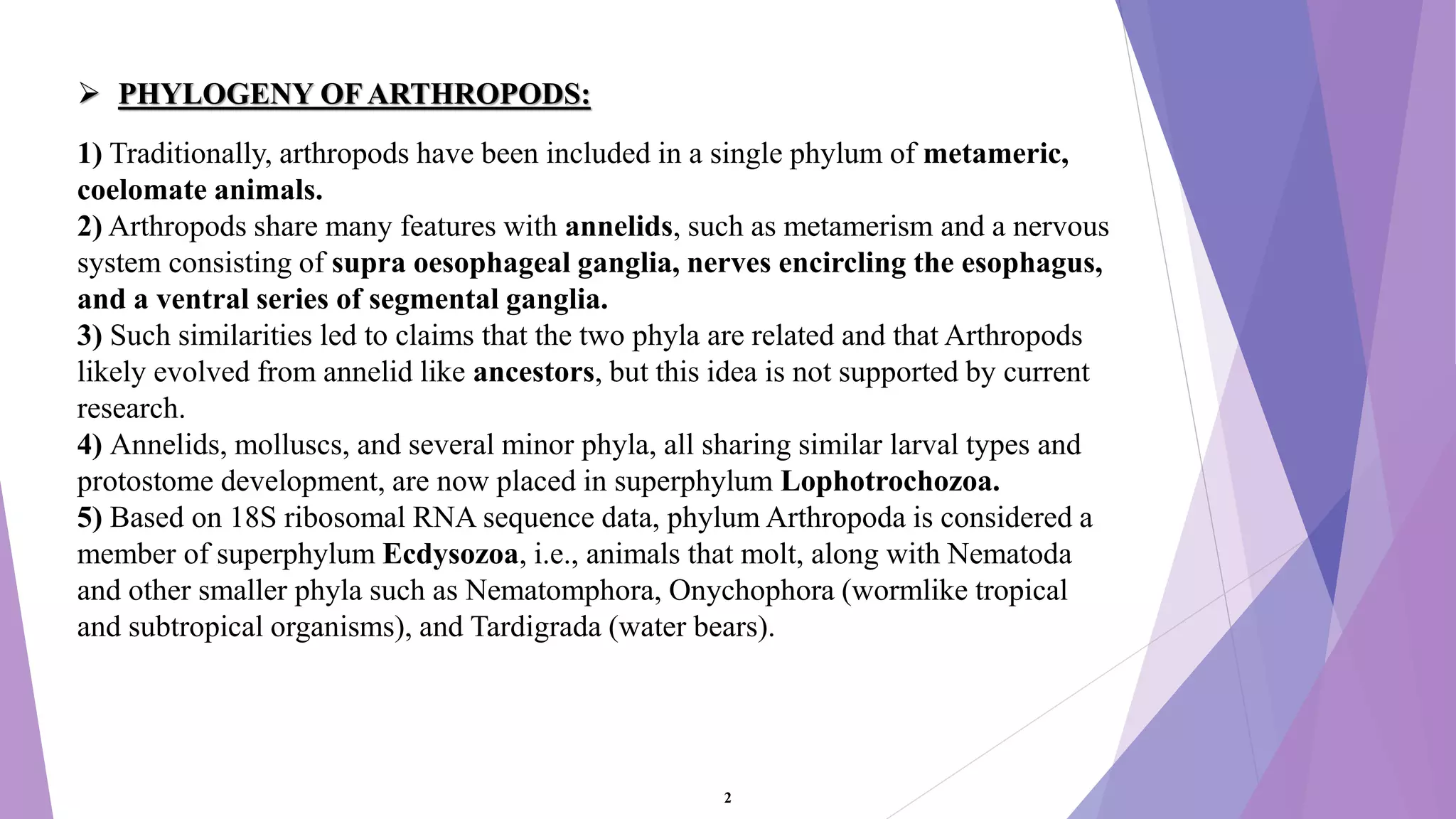Phylogeny of Arthropods, Phylogeny of Echinoderm | PDF