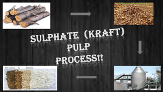 Sulfate Chemical Wood Pulp